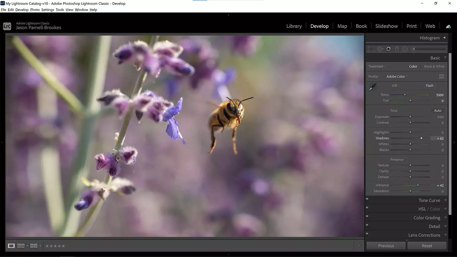 Gebruik Lightroom om natuurfoto's nieuw leven in te blazen 2820_5