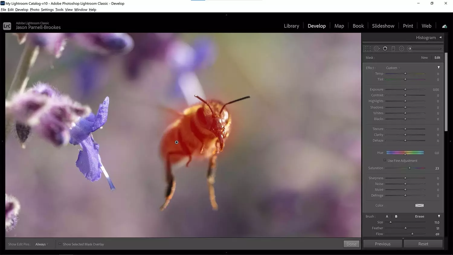 Gebruik Lightroom om natuurfoto's nieuw leven in te blazen 2820_6