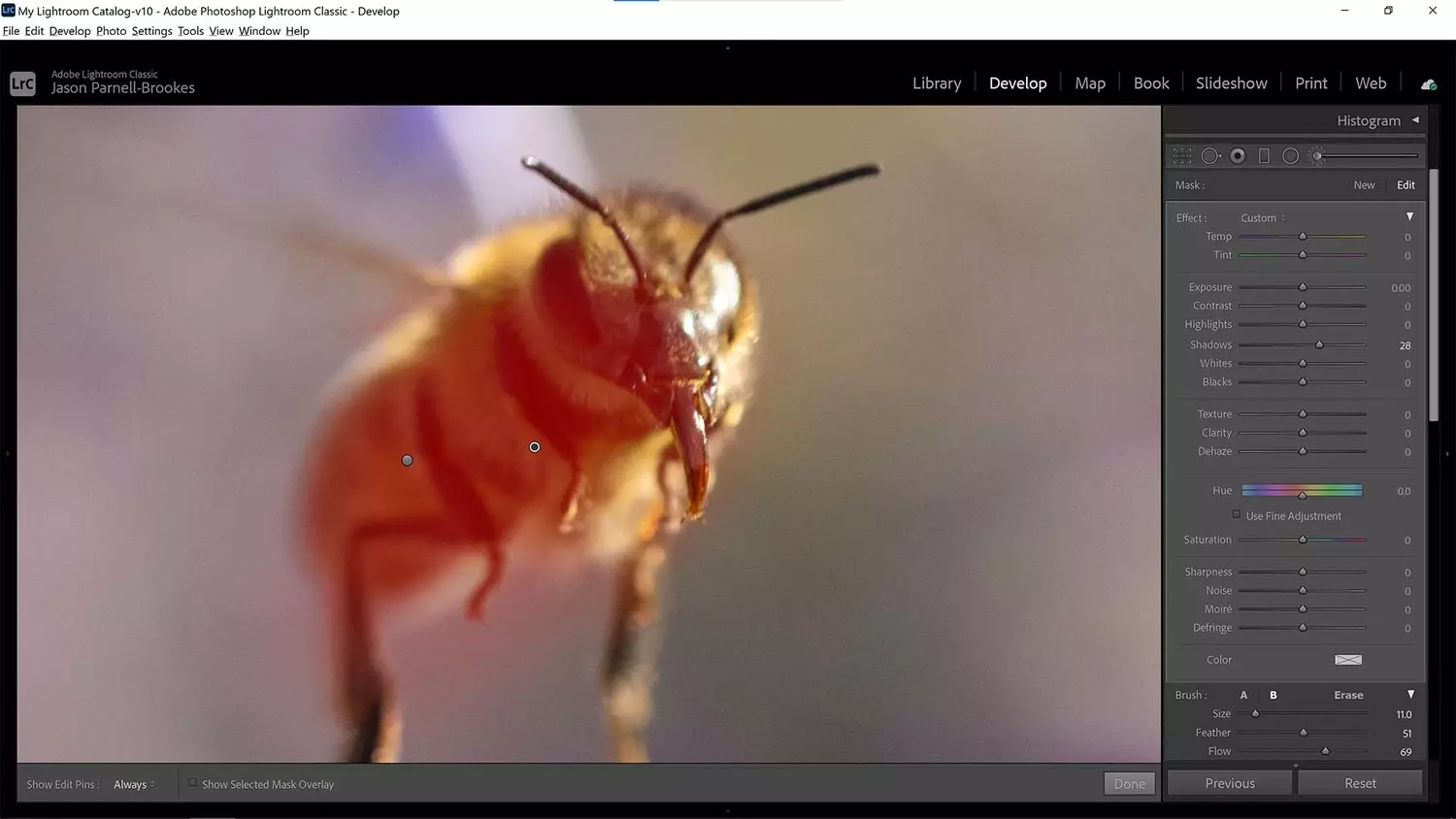 Gebruik Lightroom om natuurfoto's nieuw leven in te blazen 2820_7