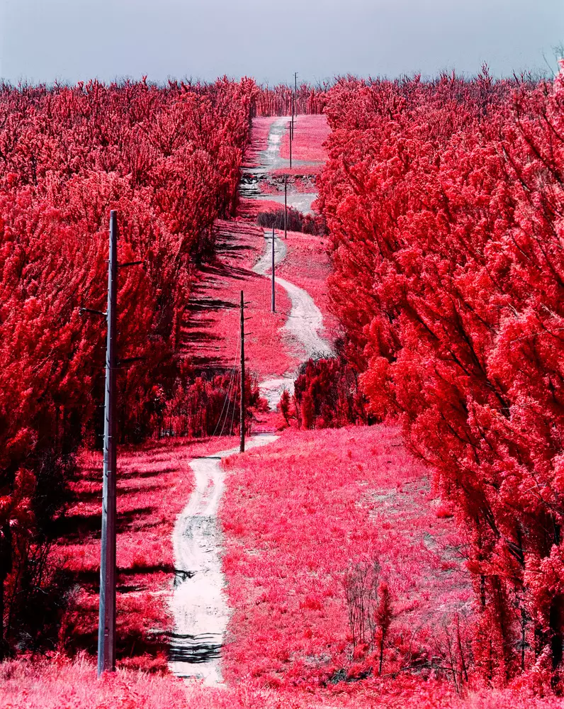 Wéi de Kodak's Incredible Aerochrome Film ze schéissen 2826_4