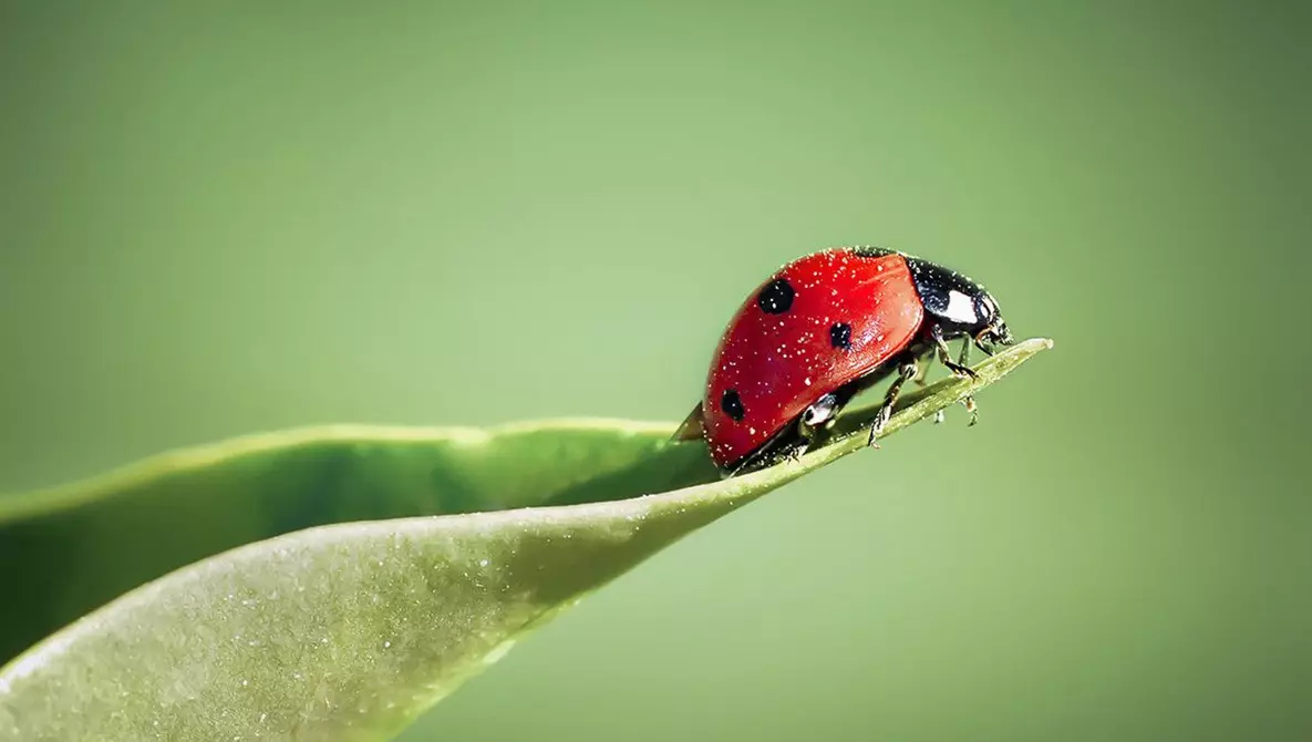 The Best Images From GuruShots 'Minimalist Shots' Challenge