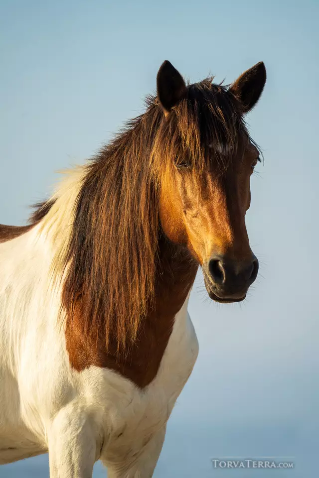 Mēs pārskatām jauno Tamron 150-500mm f/5-6.7 Di III VXD objektīvu 2844_18