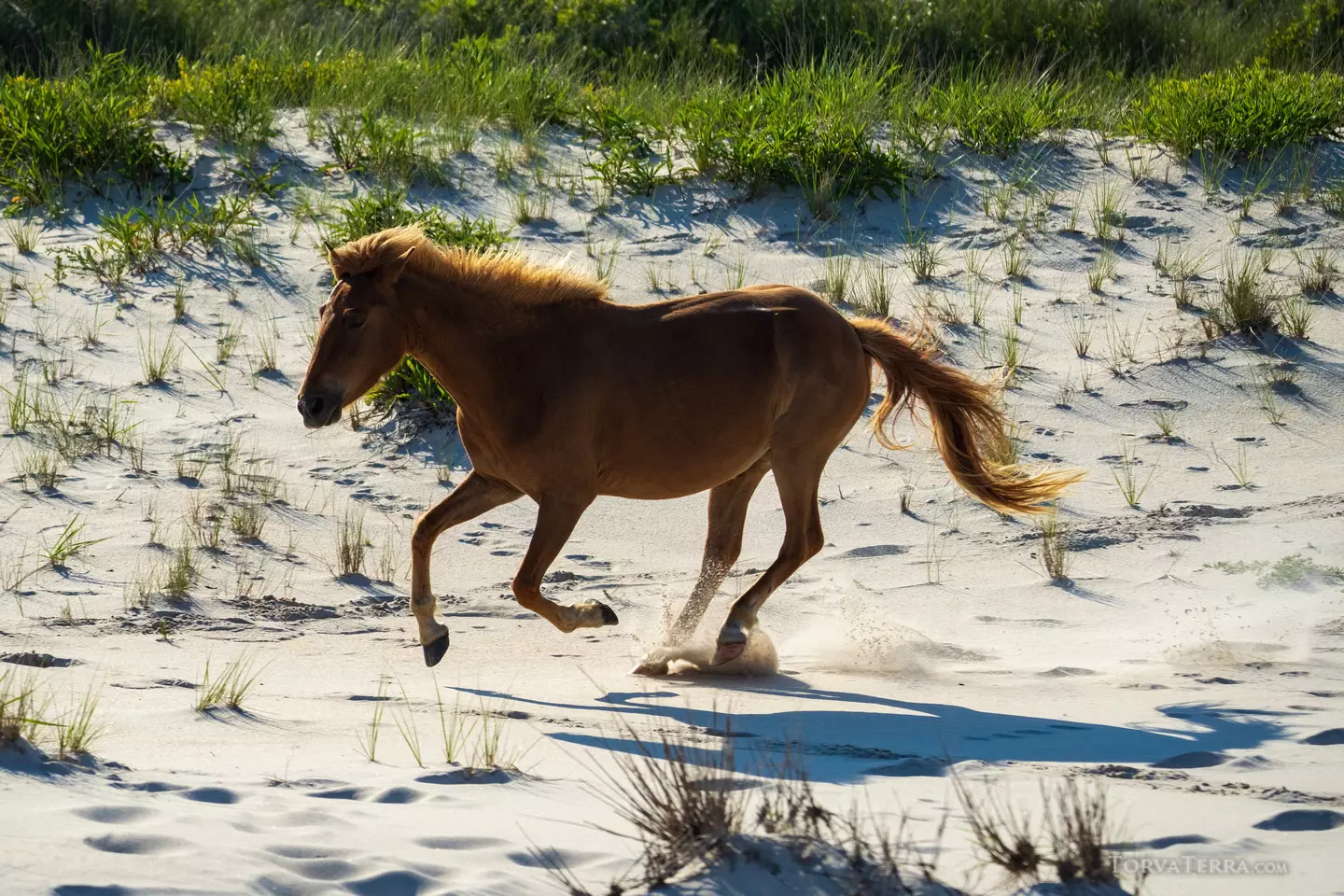 Mēs pārskatām jauno Tamron 150-500mm f/5-6.7 Di III VXD objektīvu 2844_19