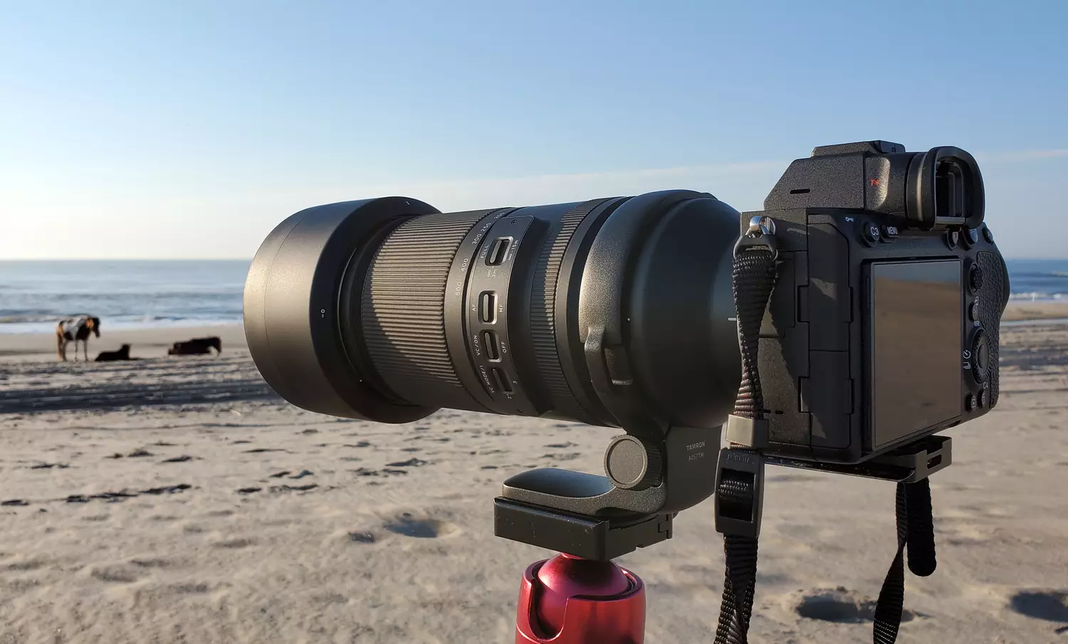 Wir testen das neue Tamron 150-500mm f/5-6.7 Di III VXD Objektiv 2844_9