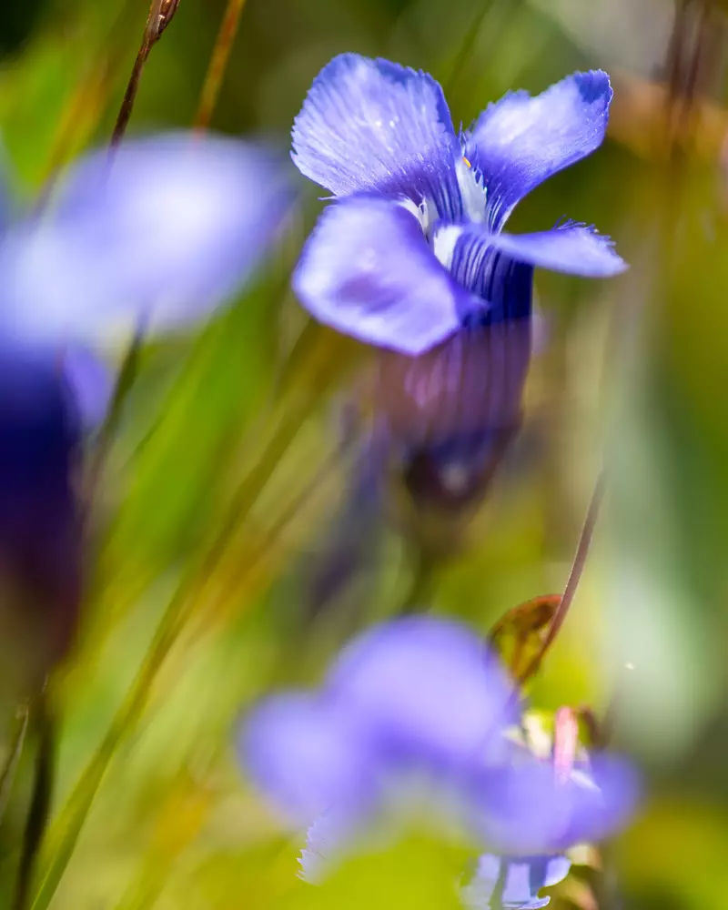 Een simpele tip om je fotografie te verbeteren 2854_2