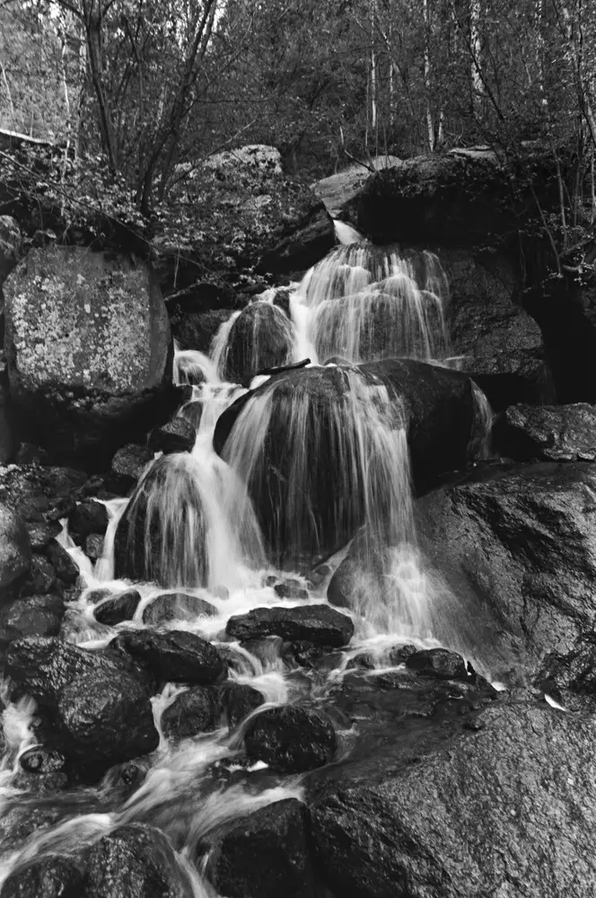 Kodak TMax 100: మీకు ఉత్తమ ఫలితాలను అందించడానికి 10 చిట్కాలు 2860_3