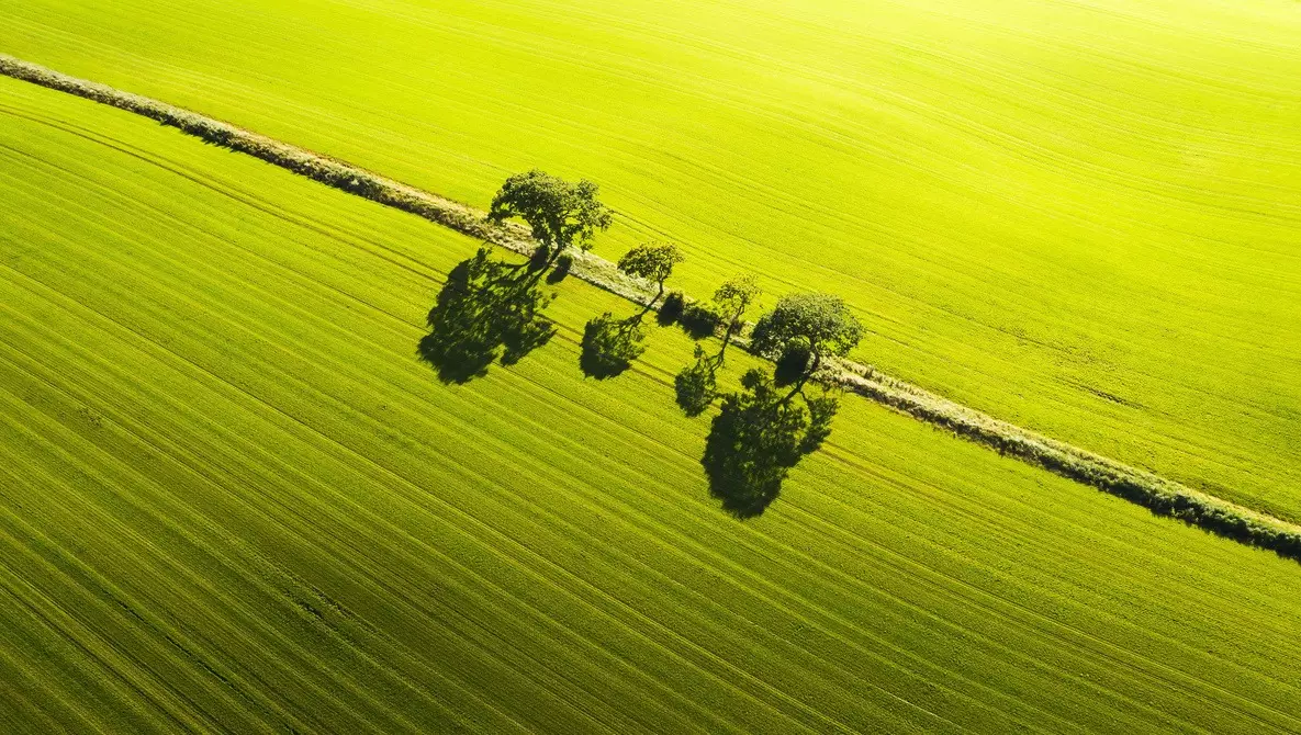 Cómo tomar increíbles fotos de paisajes cuando vives en un paisaje "aburrido"