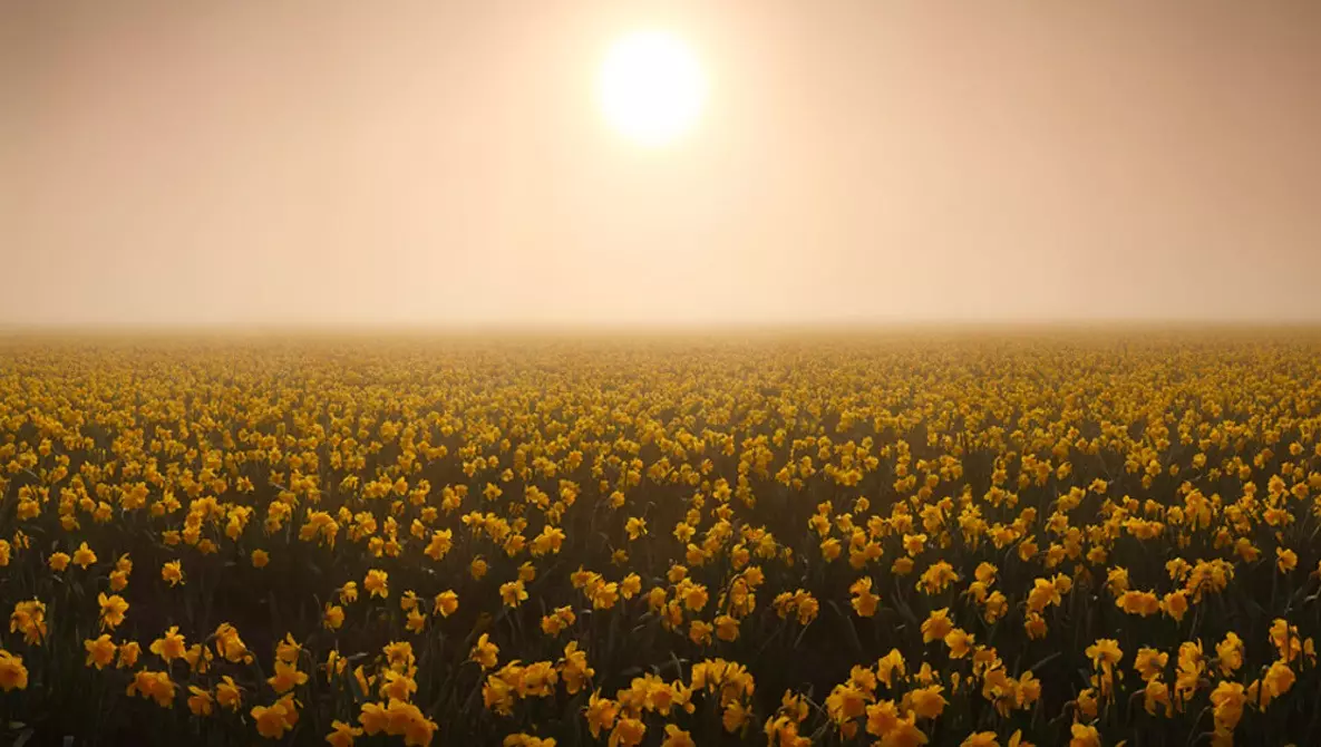 Zen y la disciplina de la fotografía de paisajes