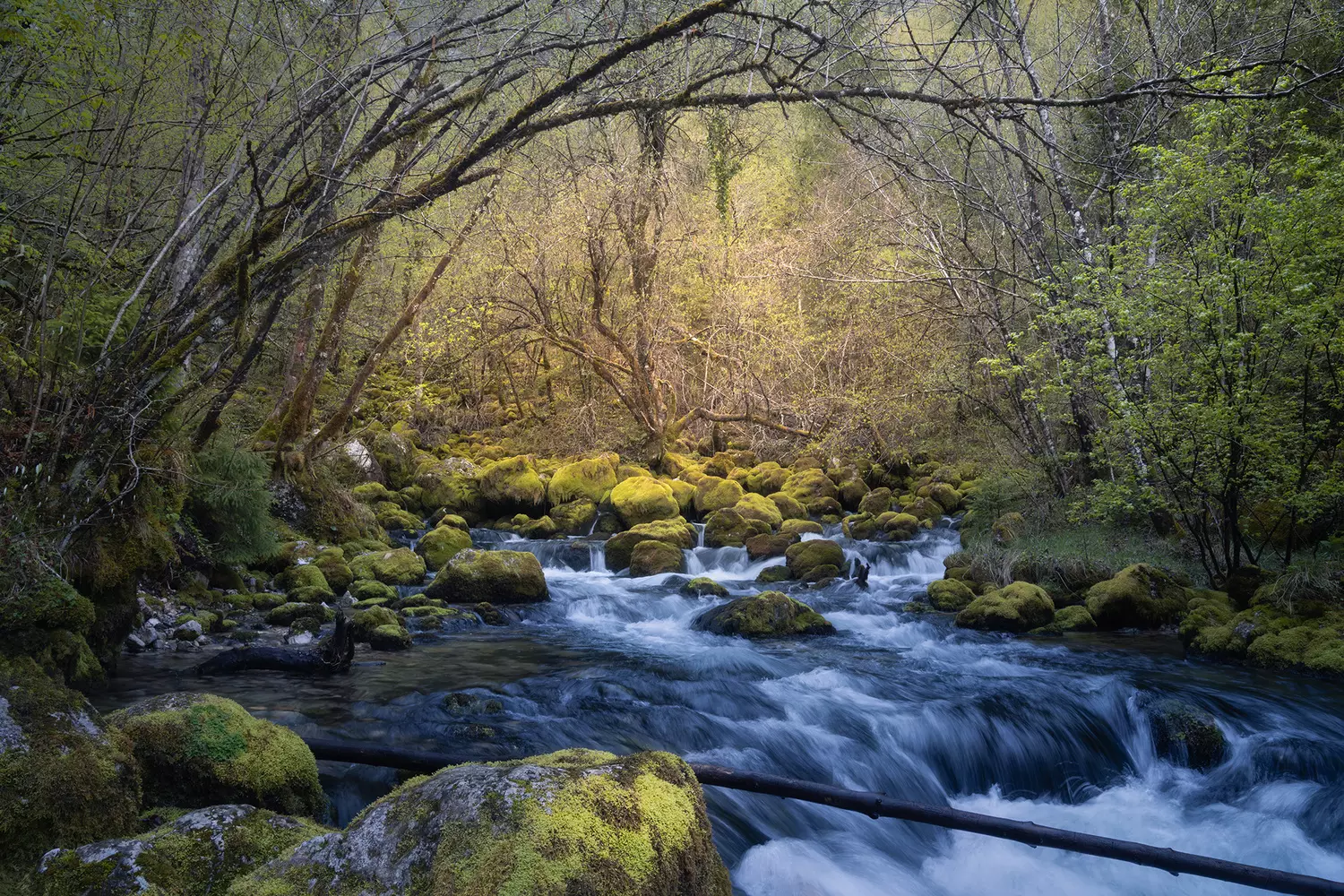 Cette astuce simple mène à de meilleures photos de paysage 2950_3