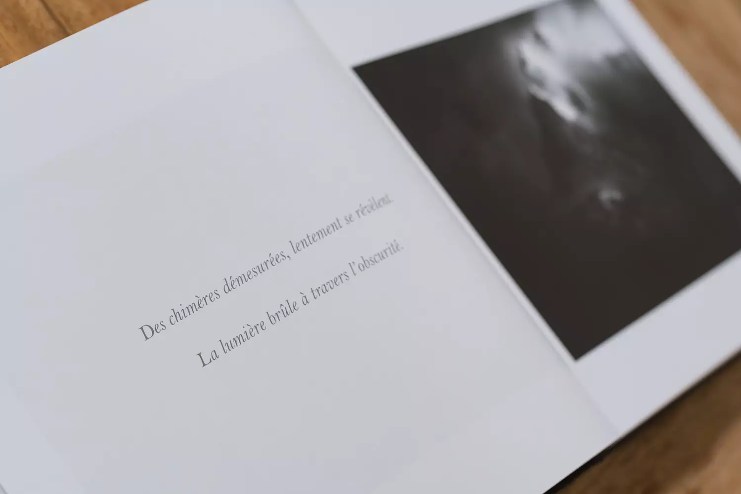 Photography Book Review of Landscape Artist Extraordinaire: Alexandre Deschaumes - Voyage Éthéré 316516_2