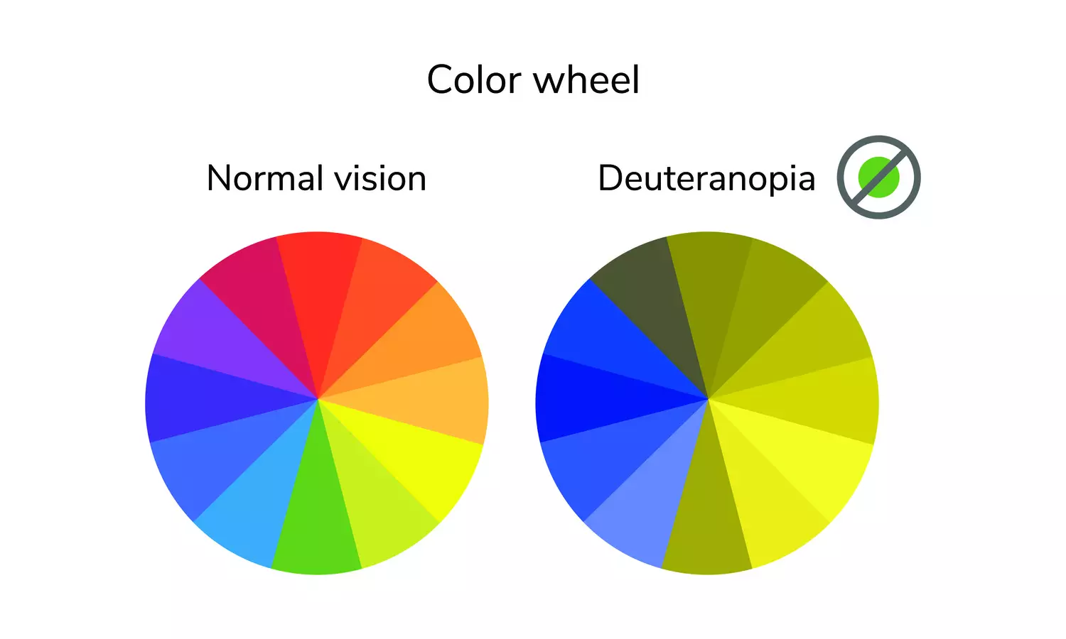 La alegría de ver el mundo a todo color por primera vez 316900_1