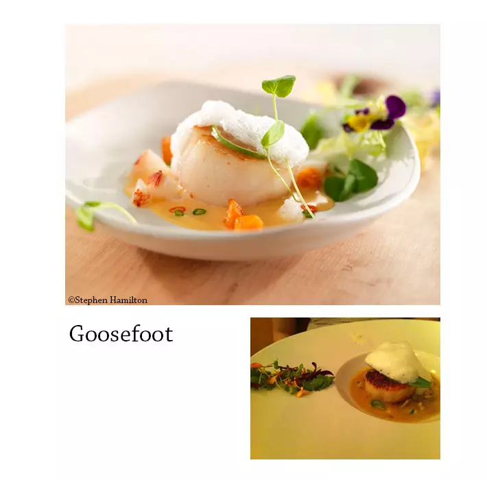Goosefoot_composed