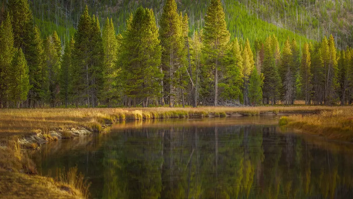 Yadda Gandun Dajin Ƙasa Ya Canza Yadda Na Harba: Darussa Daga Yellowstone (Sashe na 2)