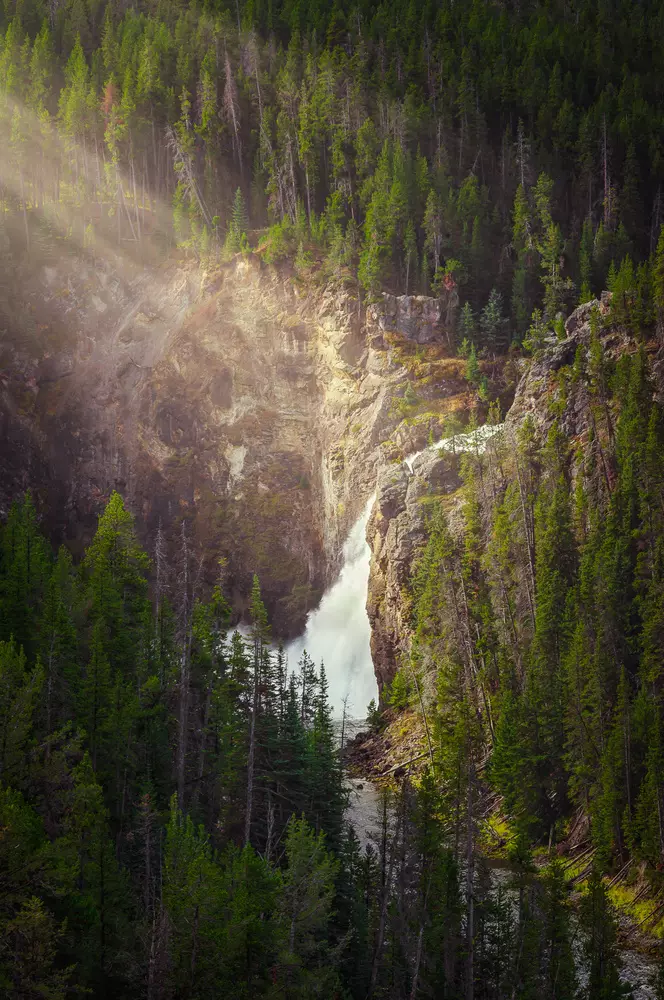 Wéi en Nationalpark de Wee geännert huet wéi ech schéissen: Lektioune vu Yellowstone (Deel 2) 318700_1