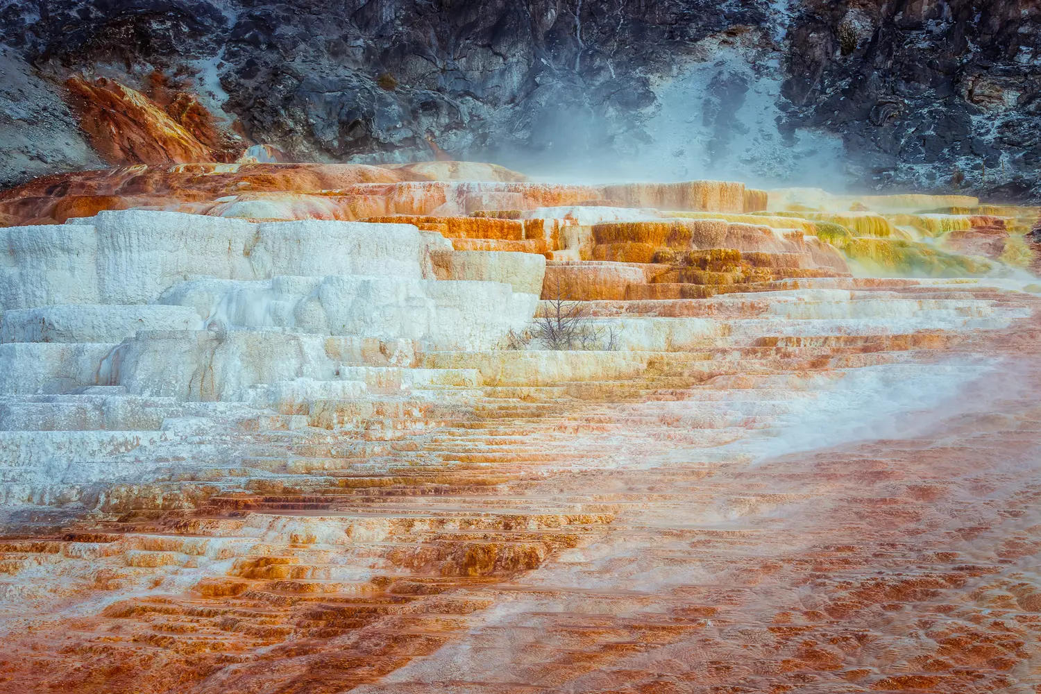 Wéi en Nationalpark de Wee geännert huet wéi ech schéissen: Lektioune vu Yellowstone (Deel 2) 318700_2