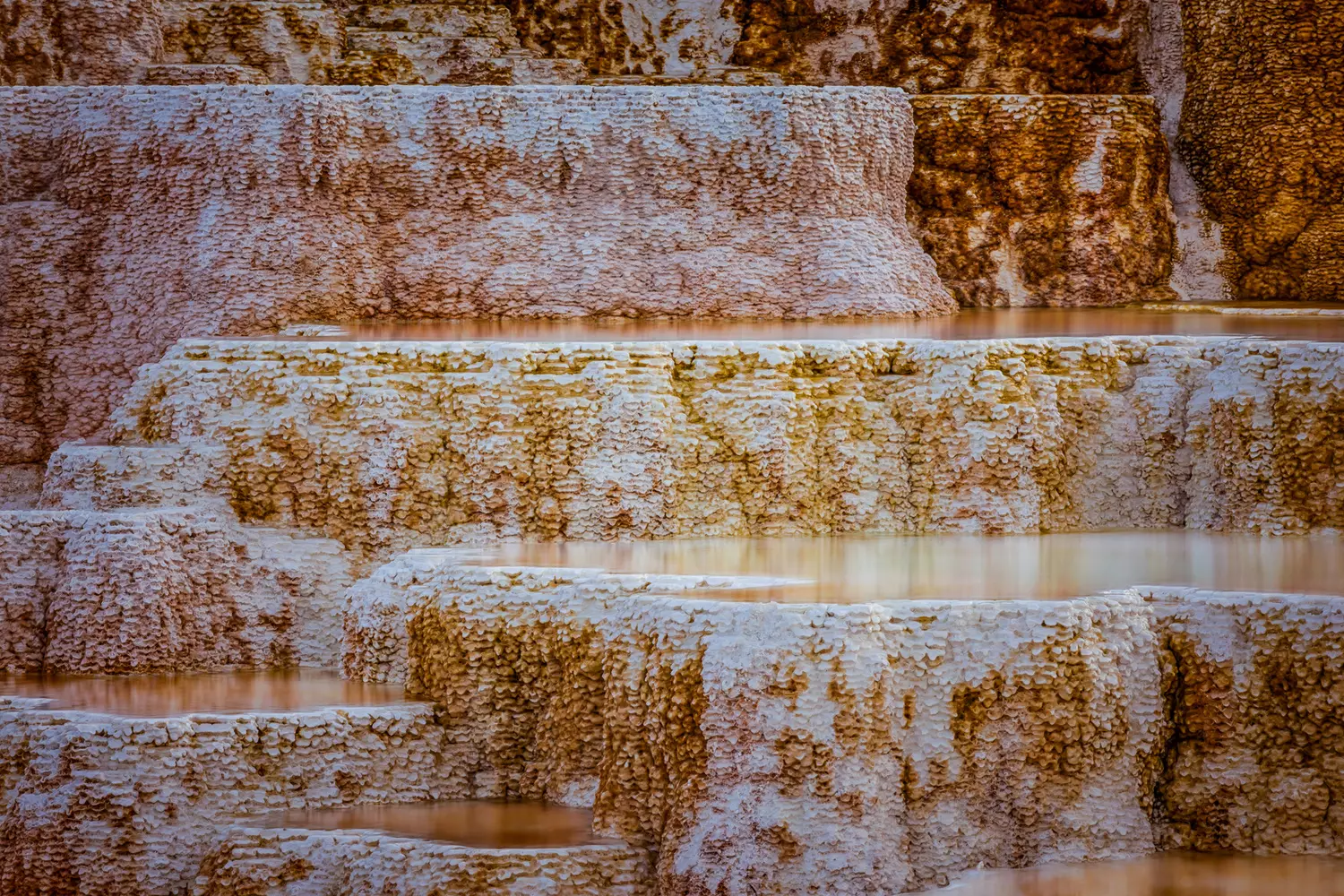 Wéi en Nationalpark de Wee geännert huet wéi ech schéissen: Lektioune vu Yellowstone (Deel 2) 318700_3