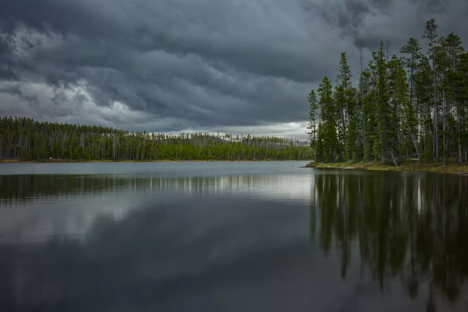 Wéi en Nationalpark de Wee geännert huet wéi ech schéissen: Lektioune vu Yellowstone (Deel 2) 318700_4