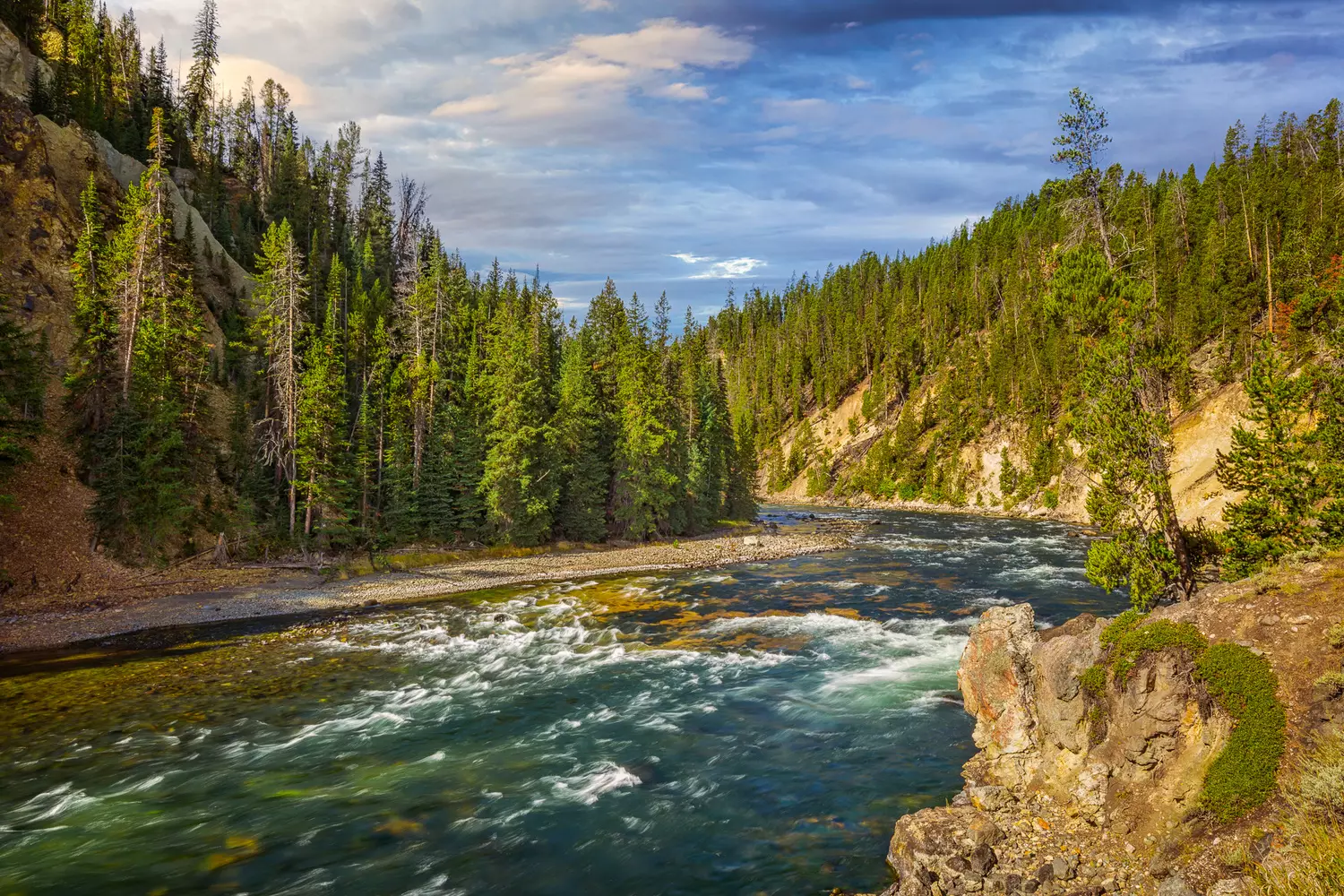 Wéi en Nationalpark de Wee geännert huet wéi ech schéissen: Lektioune vu Yellowstone (Deel 2) 318700_5