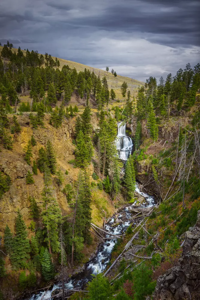 Kamoo Serapa sa Sechaba se Fetotseng Tsela eo ke Thunyang Kateng: Lithuto Tse Tsoang ho Yellowstone (Karolo ea 2) 318700_6