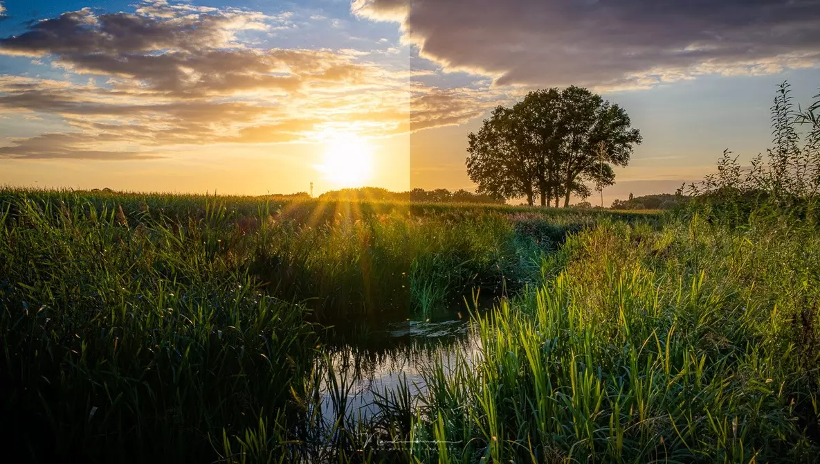 Hâld it ynteressant, ferlieze net alle skaden yn jo foto