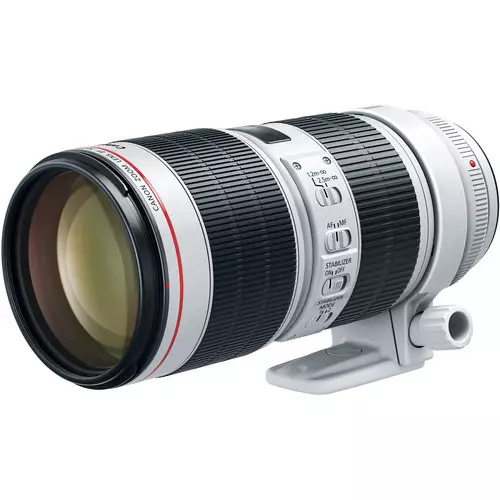 Je li Canon 135 mm f/2L još uvijek relevantan u 2018.? 323715_9