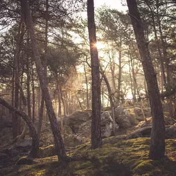 Por que você se tornaria um fotógrafo de paisagem se não gosta de fotografia de paisagem? 3260_1