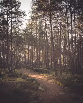 Peyzaj fotosuratlarini yoqtirmasangiz, nega siz peyzaj fotografi bo'lasiz? 3260_14