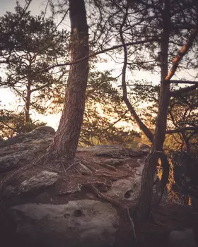 Por que você se tornaria um fotógrafo de paisagem se não gosta de fotografia de paisagem? 3260_15