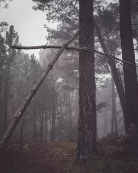 Por que você se tornaria um fotógrafo de paisagem se não gosta de fotografia de paisagem? 3260_18