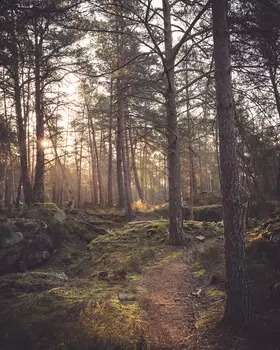 Por que você se tornaria um fotógrafo de paisagem se não gosta de fotografia de paisagem? 3260_21