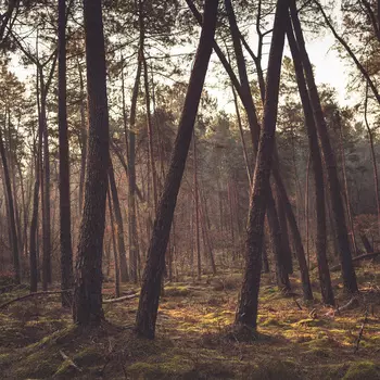 Por que você se tornaria um fotógrafo de paisagem se não gosta de fotografia de paisagem? 3260_23