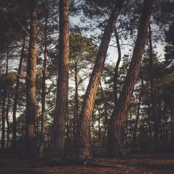 Por que você se tornaria um fotógrafo de paisagem se não gosta de fotografia de paisagem? 3260_4