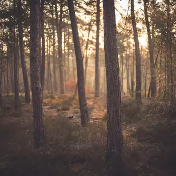 Por que você se tornaria um fotógrafo de paisagem se não gosta de fotografia de paisagem? 3260_5