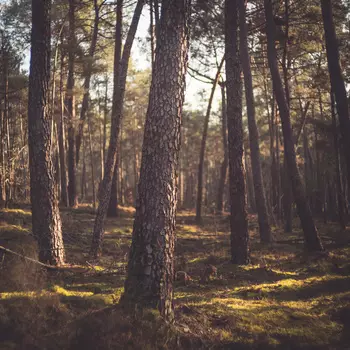 Por que você se tornaria um fotógrafo de paisagem se não gosta de fotografia de paisagem? 3260_7