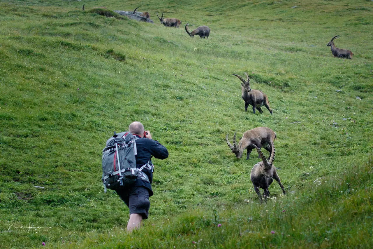 Wéi vill Kameratasche brauch e Fotograf? 3305_2