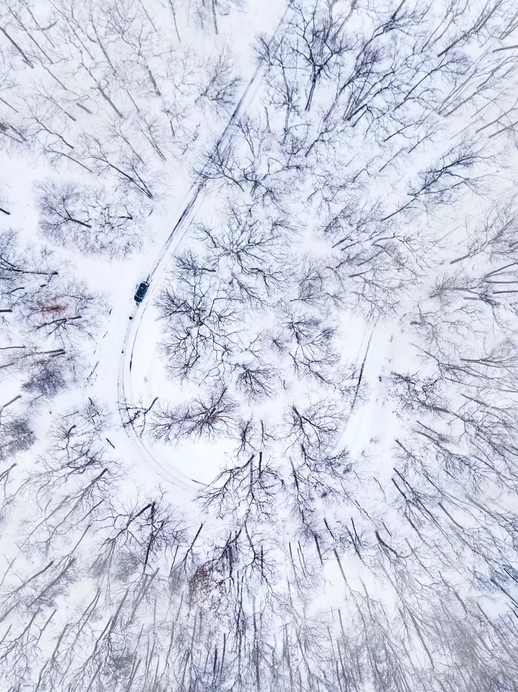 Pag-drone sa Niyebe: Ang 'Alpine Adventures' Maoy Pipila sa Sunod nga Ang-ang nga Talan-awon 334690_3