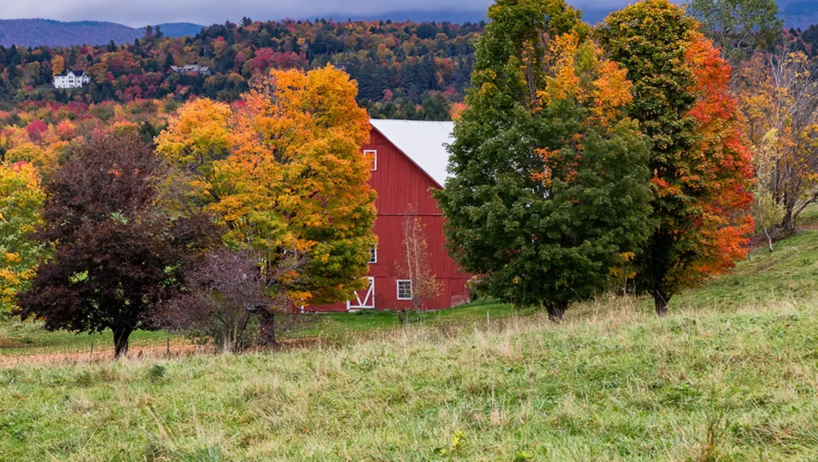 Drei Tipps zum Fotografieren von Herbstfarben