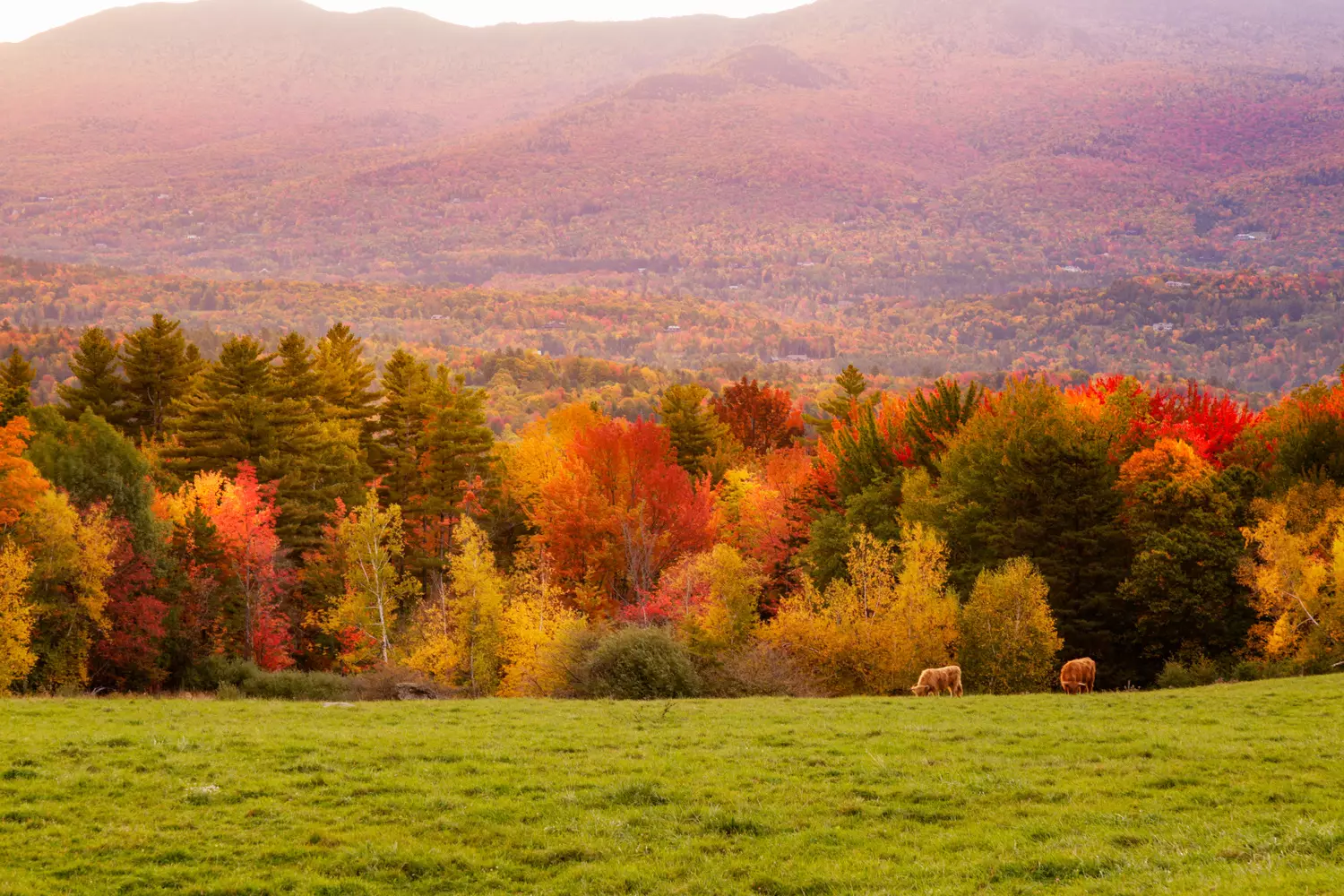 Drei Tipps zum Fotografieren von Herbstfarben 33809_1