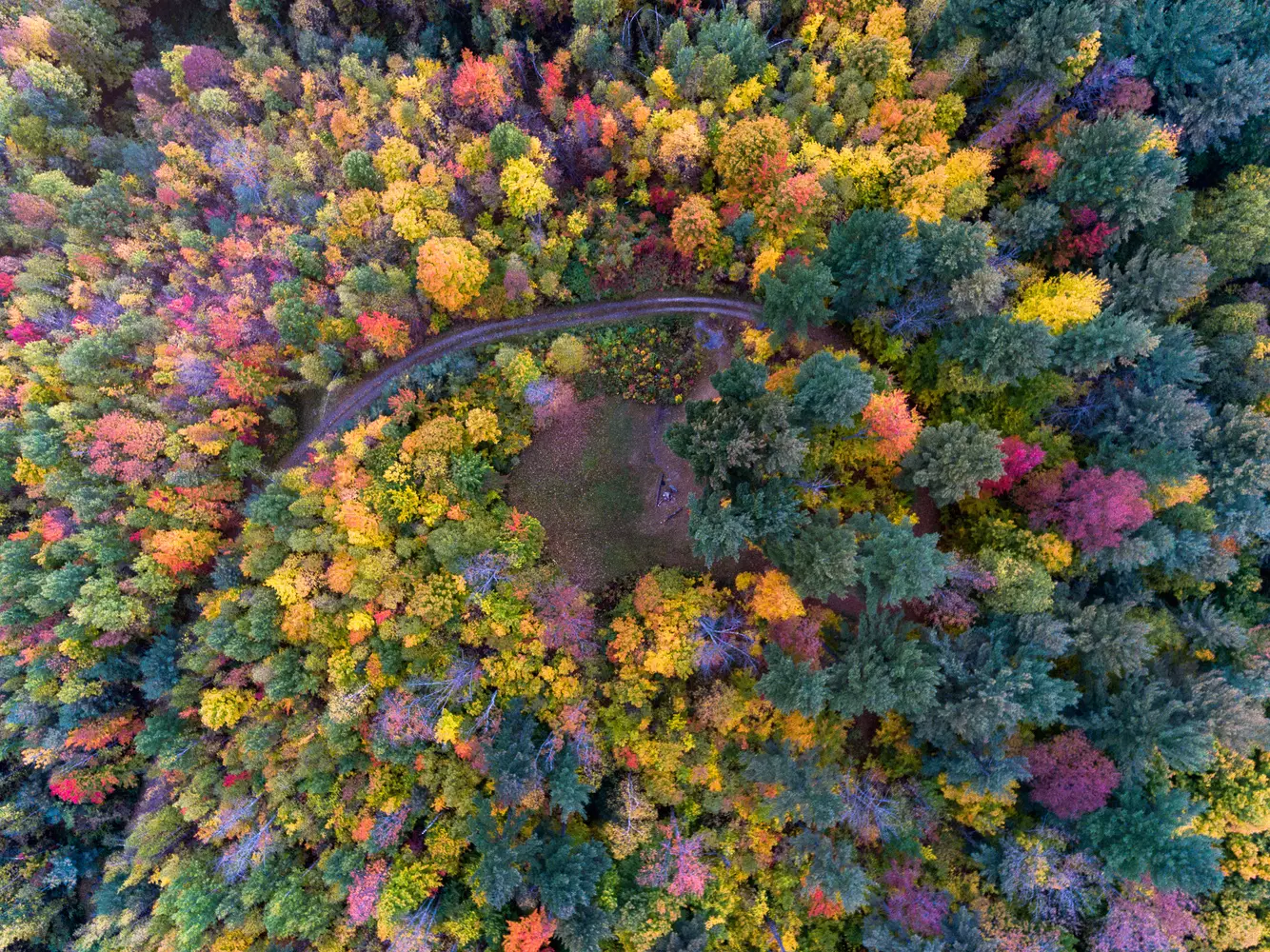 Drei Tipps zum Fotografieren von Herbstfarben 33809_6