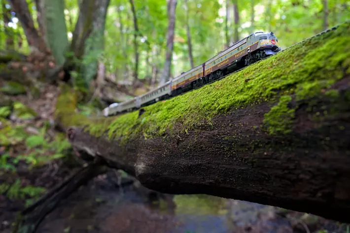 The Canadian: Ghost Train Crossing Canada 338796_12