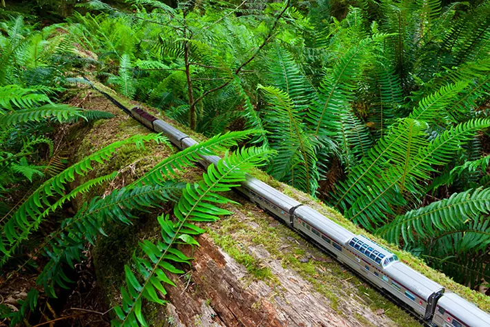 The Canadian: Ghost Train Crossing Canada 338796_5