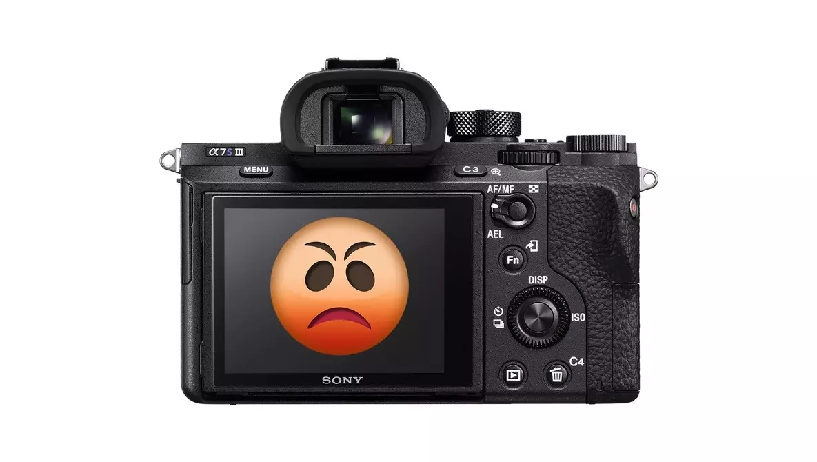 Sony a7S III: බලාපොරොත්තු සුන් කිරීමට දෛවෝපගතද?