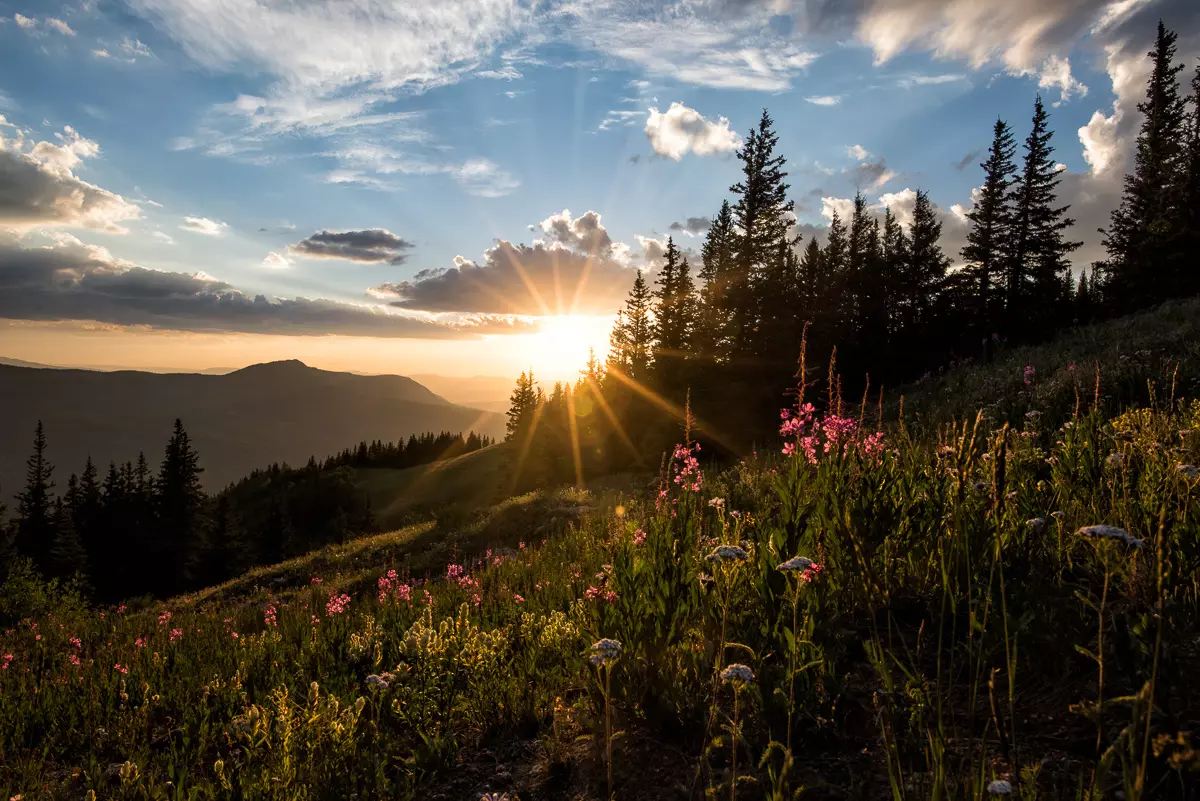 Ta nova kamera vas ne bo naredila boljšega fotografa 33899_2