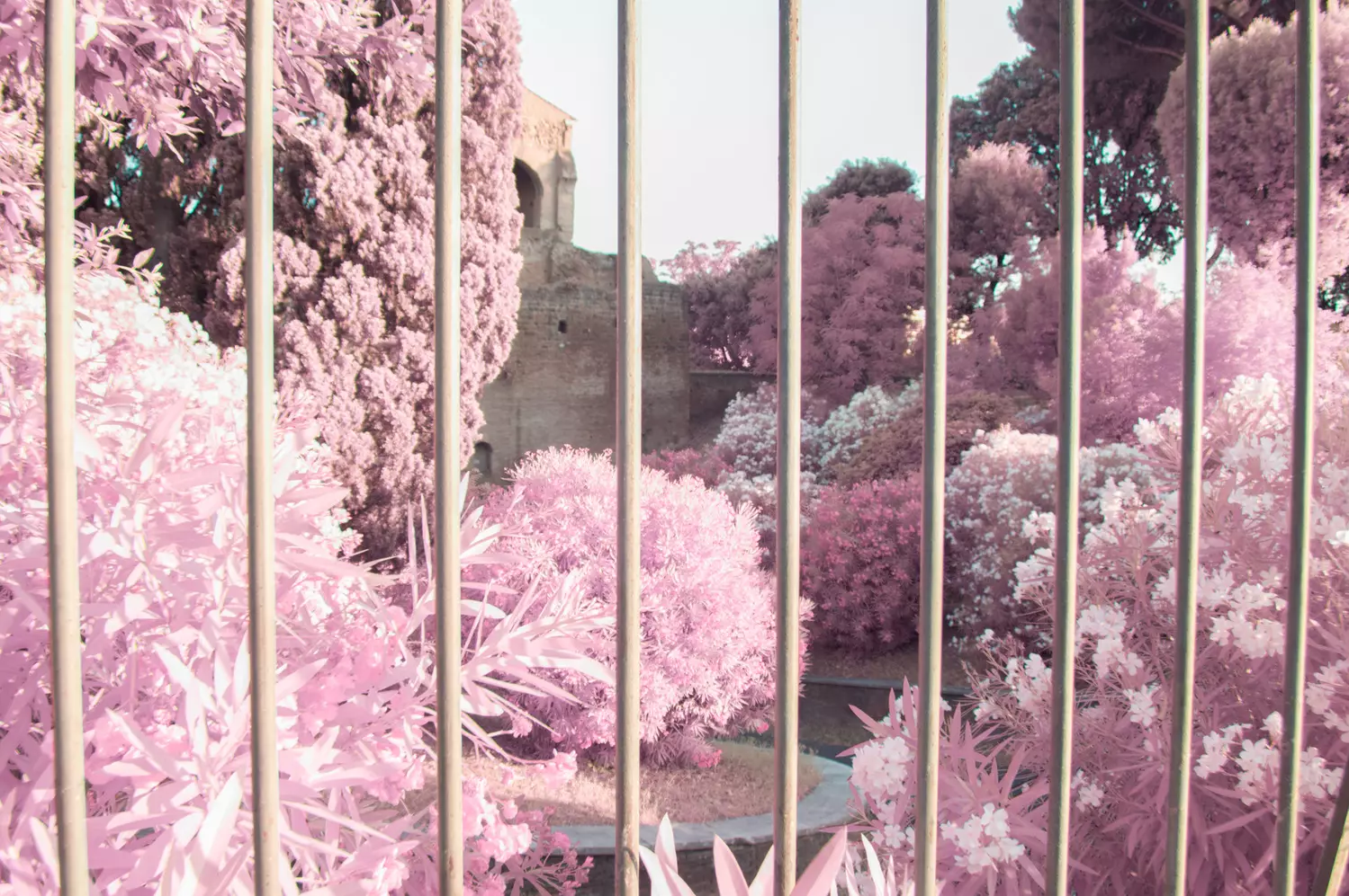 Roma Rosa: A Surreal Infrared View ຂອງ Rome 34143_10