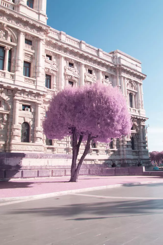 Roma Rosa: A Surreal Infrared View ຂອງ Rome 34143_8