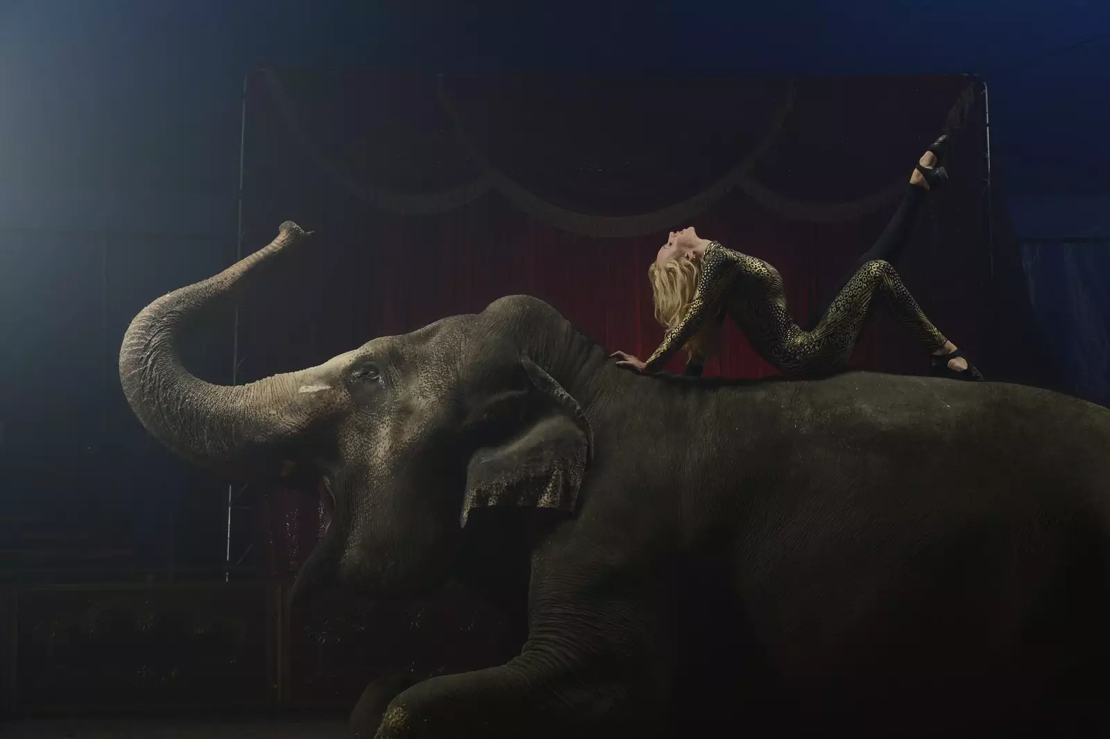 [BTS] Joe McNally's BTS Circus Shoot with Nikon's D4 341859_1