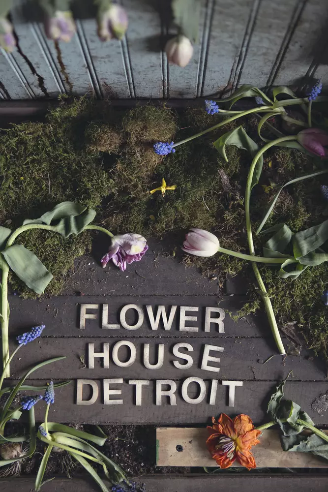 Beauty Blooms in Blight: Foto Striking Nuduhake Burst of Color in Forgotten Home 341938_1