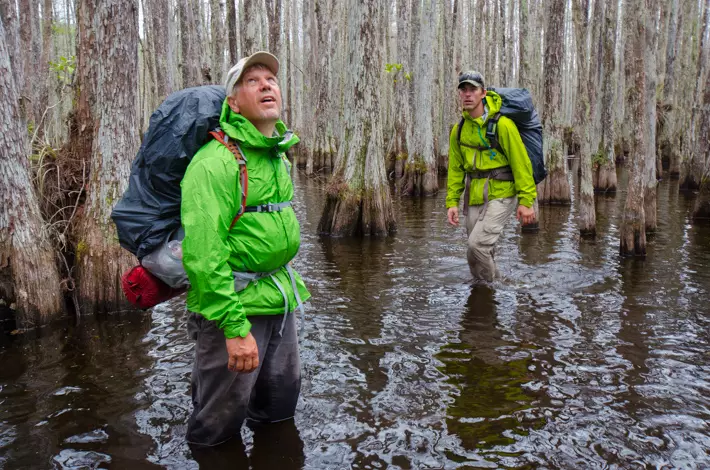 Expedición ao corredor de vida salvaxe da Florida