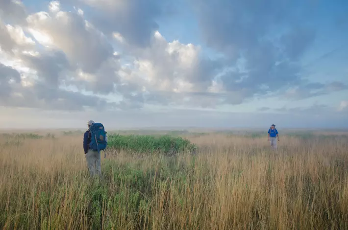 Florida Wildlife Corridor Expedition