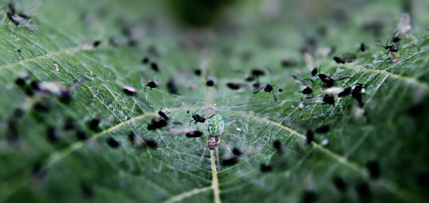 Dhjetë mënyra për ta mbajtur fotografinë të freskët pa falimentuar 34733_2